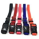 Sparky PetCo Compatible 1" Solid Bone Embossed Dog Straps - Walmart.com