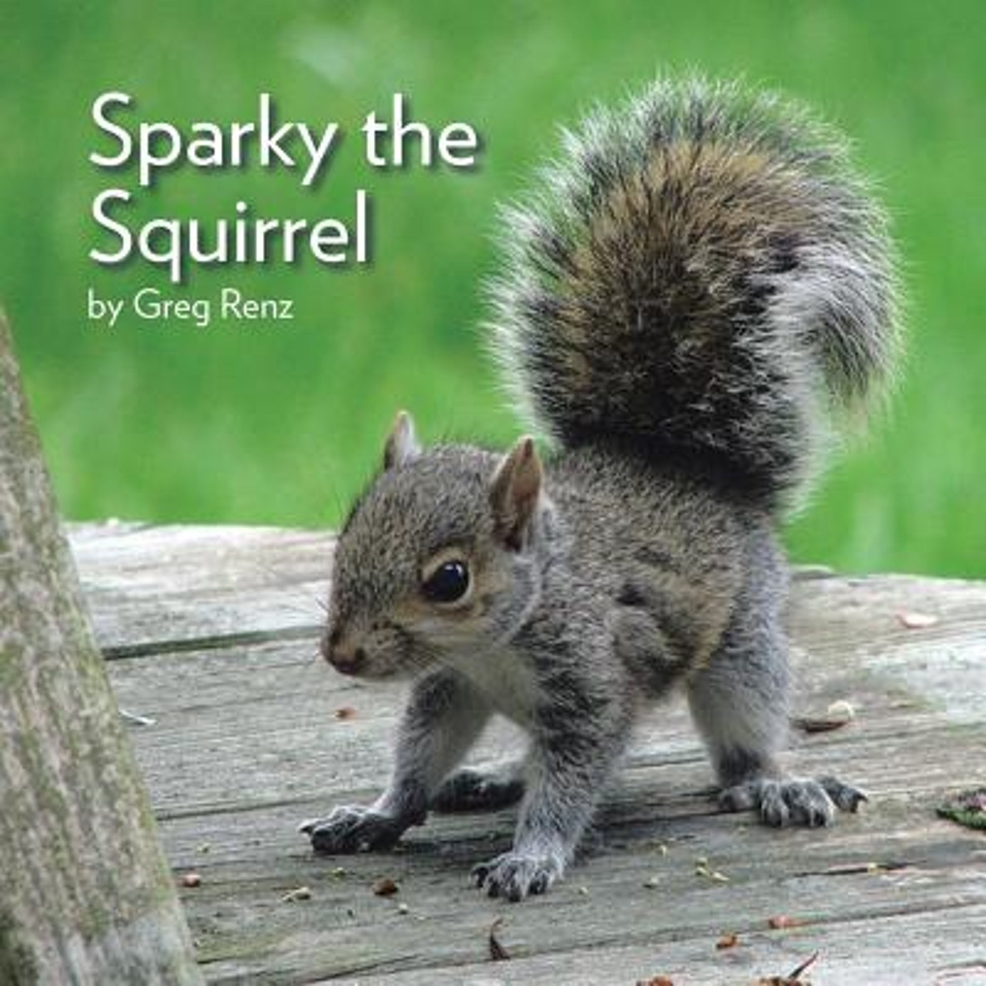 Sparky the Squirrel (Paperback) by Greg Renz - Walmart.com