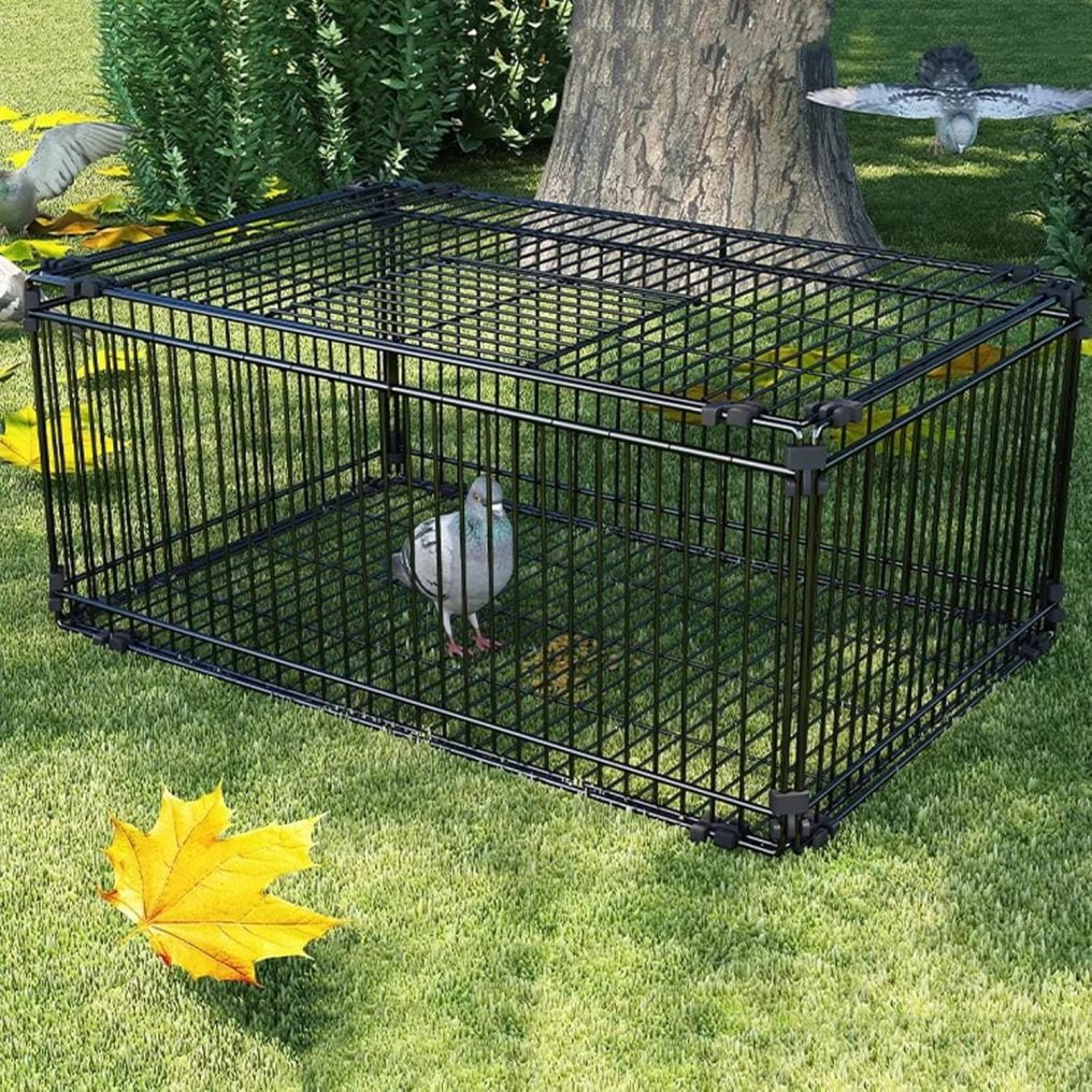 Sparrow Trap, Pigeon Trap with Escape-Proof Design, Bird Trap, 4 Sided ...