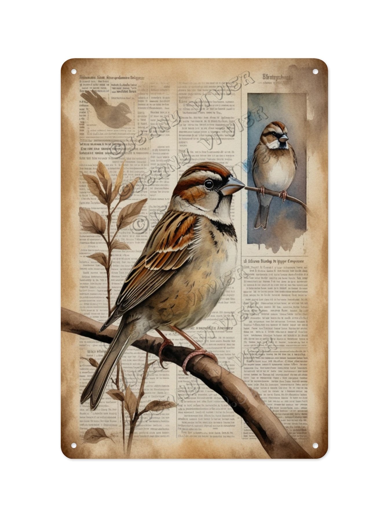 Sparrow Vintage Aluminum Sign 8x12 Inches - Rustic Farmhouse Bird Decor ...