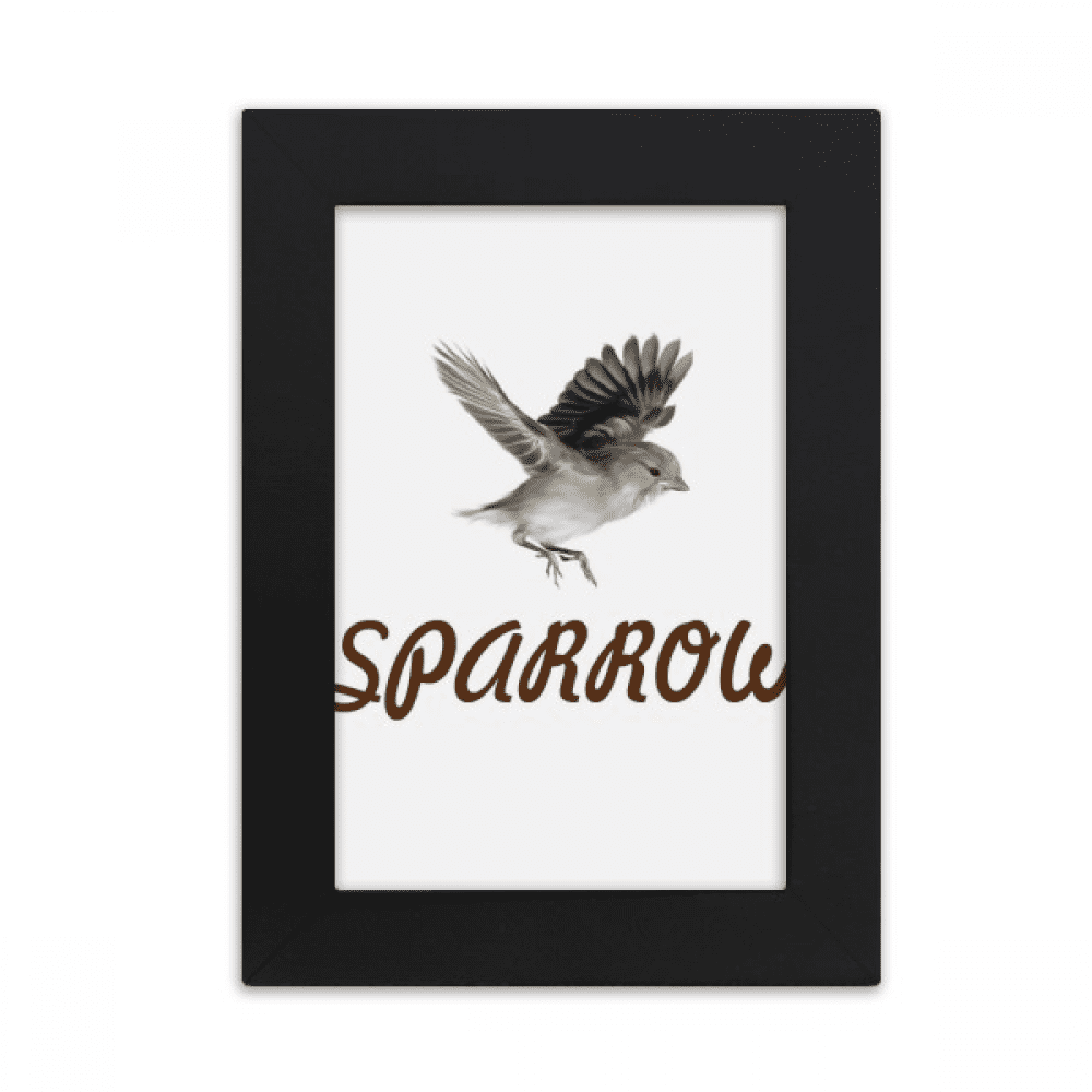 Sparrows Birds Animals Food Fly Desktop Photo Frame Picture Display Art ...