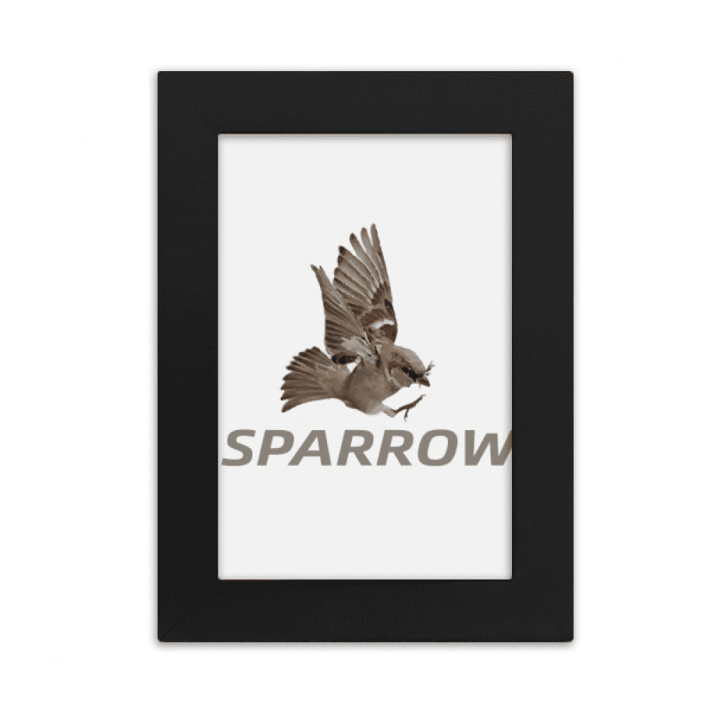 Sparrows Birds Animals Food Insects Desktop Photo Frame Picture Display ...