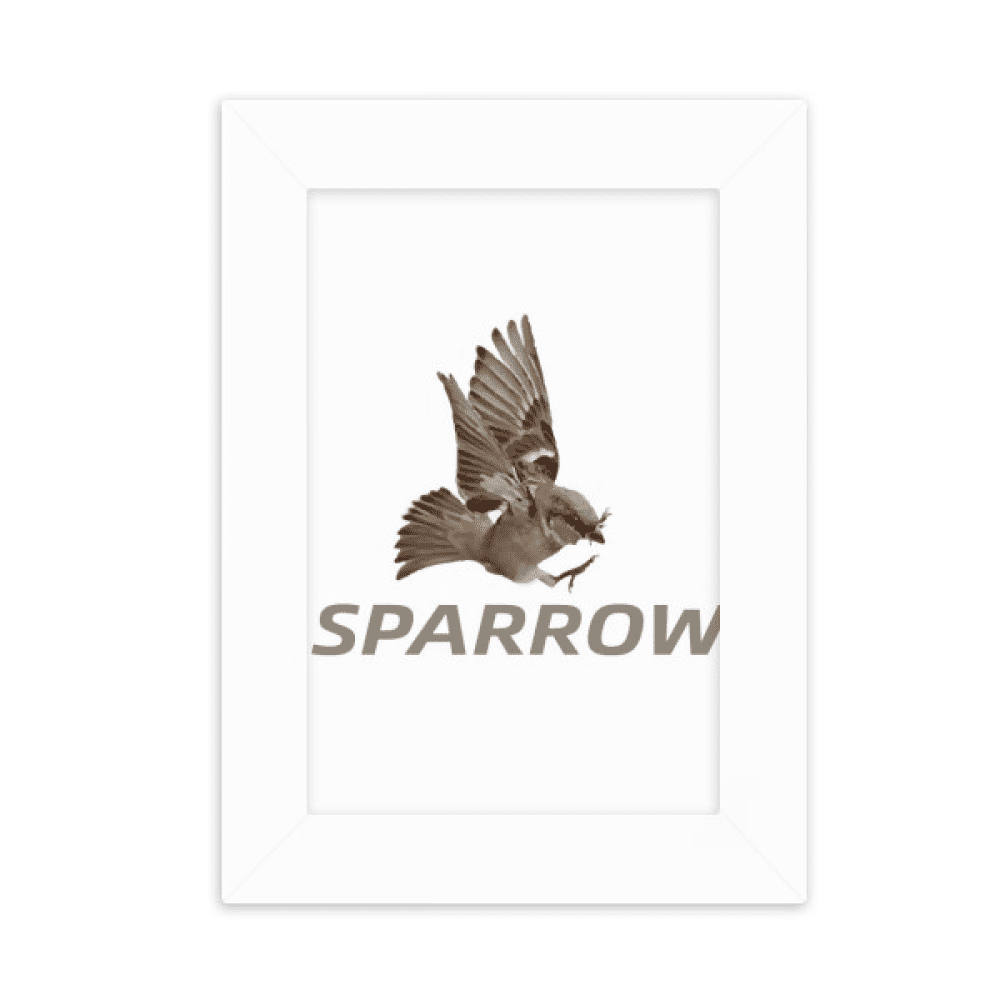 Sparrows Birds Animals Food Insects Desktop Photo Frame Picture Display ...
