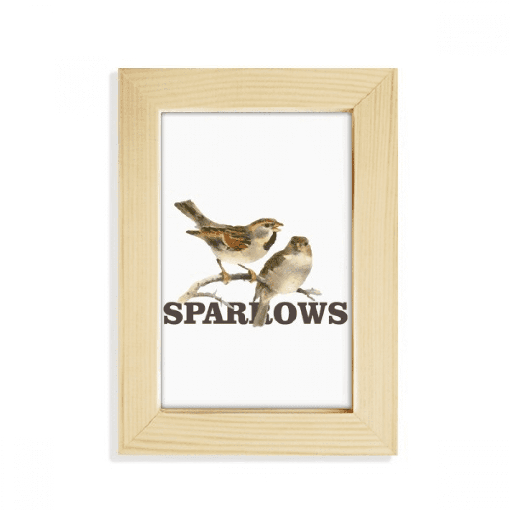 Sparrows Birds Animals Food Love Desktop Display Photo Frame Picture ...