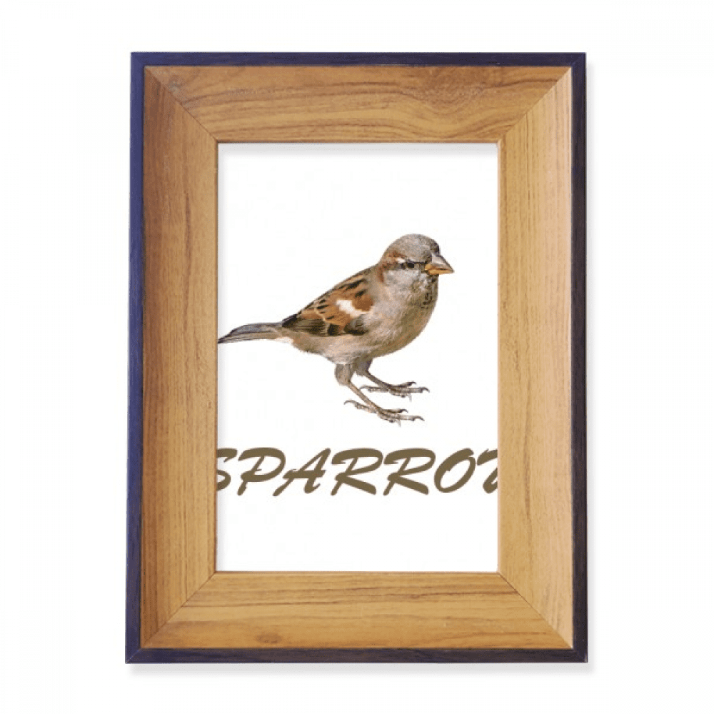 Sparrows Birds Animals Food Pause Photo Frame Exhibition Display Art ...