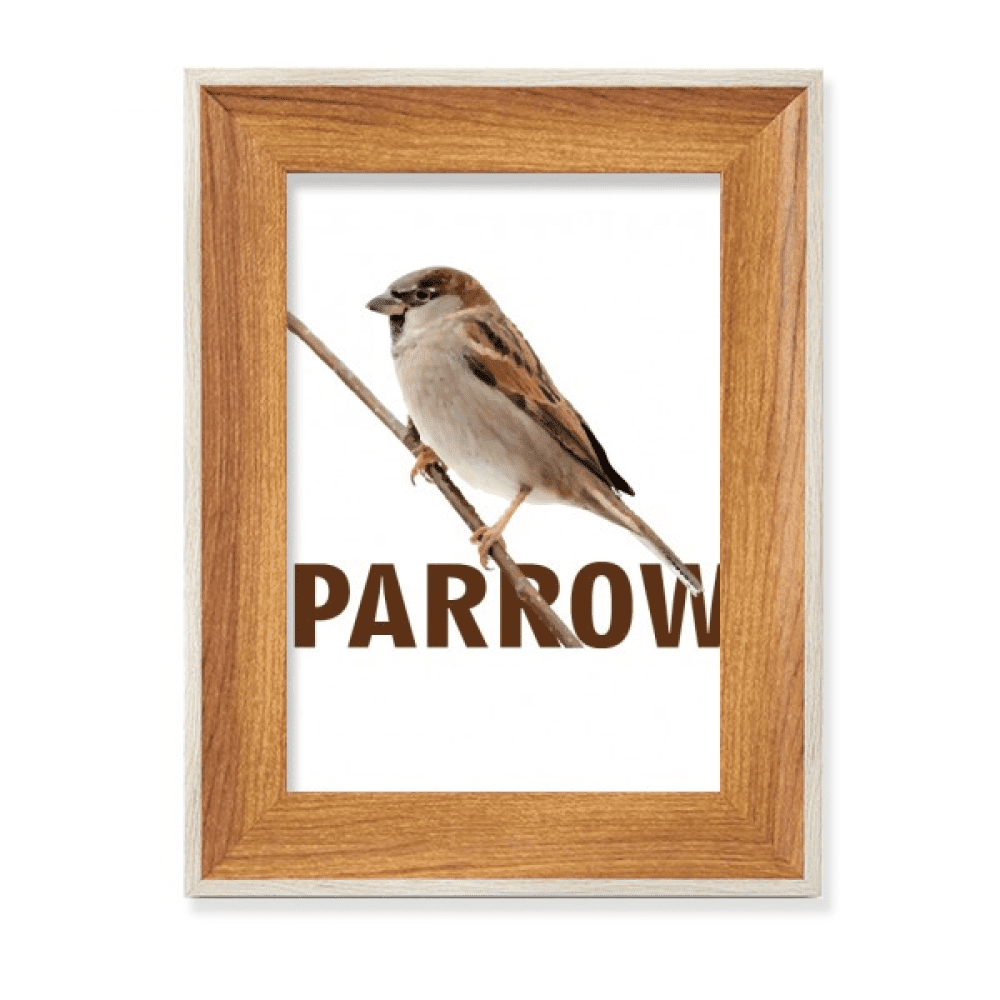 Sparrows Birds Animals Food Wait Desktop Wooden Photo Frame Display ...