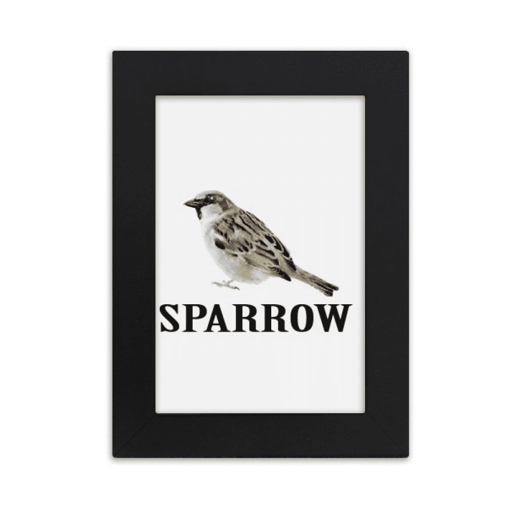 Sparrows Birds Food Watch Desktop Photo Frame Picture Display Art ...