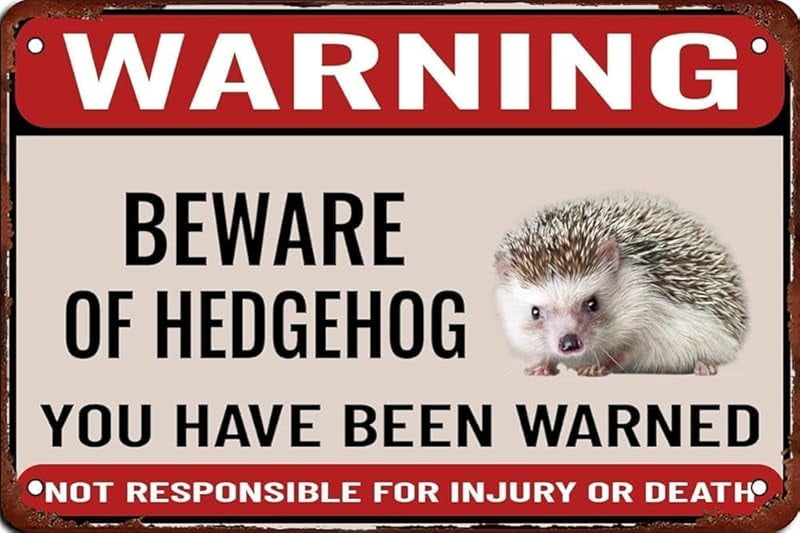 Sparrows Tin Sign Retro Poster Bird Vintage Room Iron Painting Metal ...