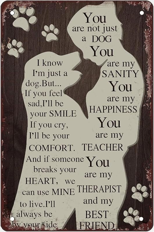 Sparrows Tin Sign Retro Poster Bird Vintage Room Iron Painting Metal ...