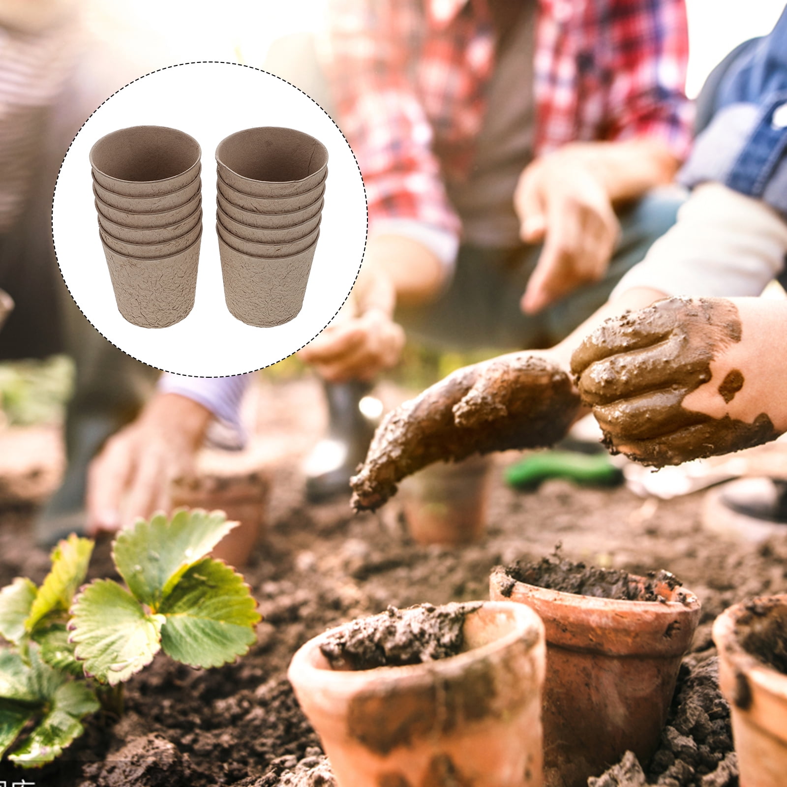 Sparsain Biodegradable Seedling Cup 10*10cm Gardening Flower Pot 12pcs ...