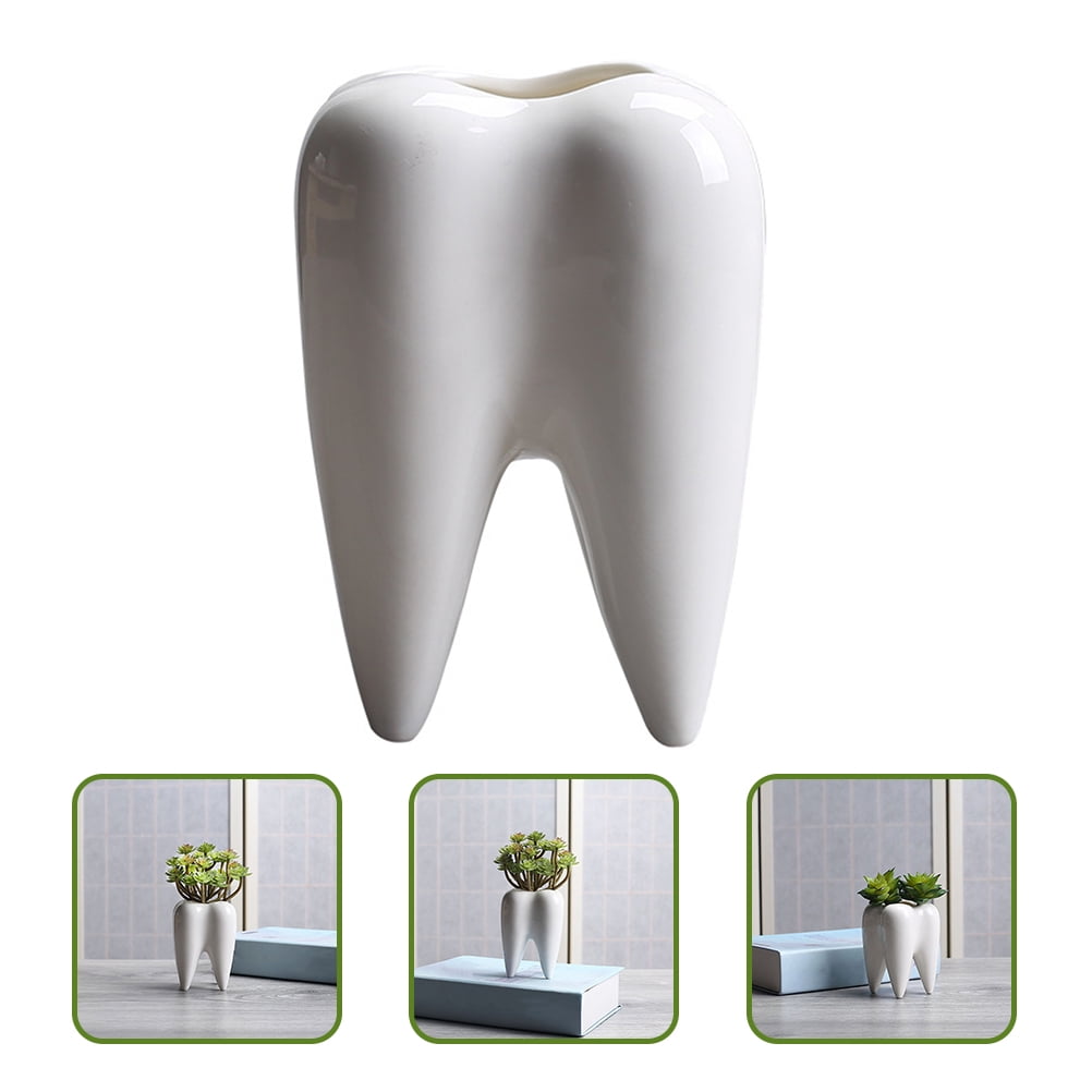 Sparsain Ceramic Tooth Shape Desktop Vase, Small Decorative Molar ...
