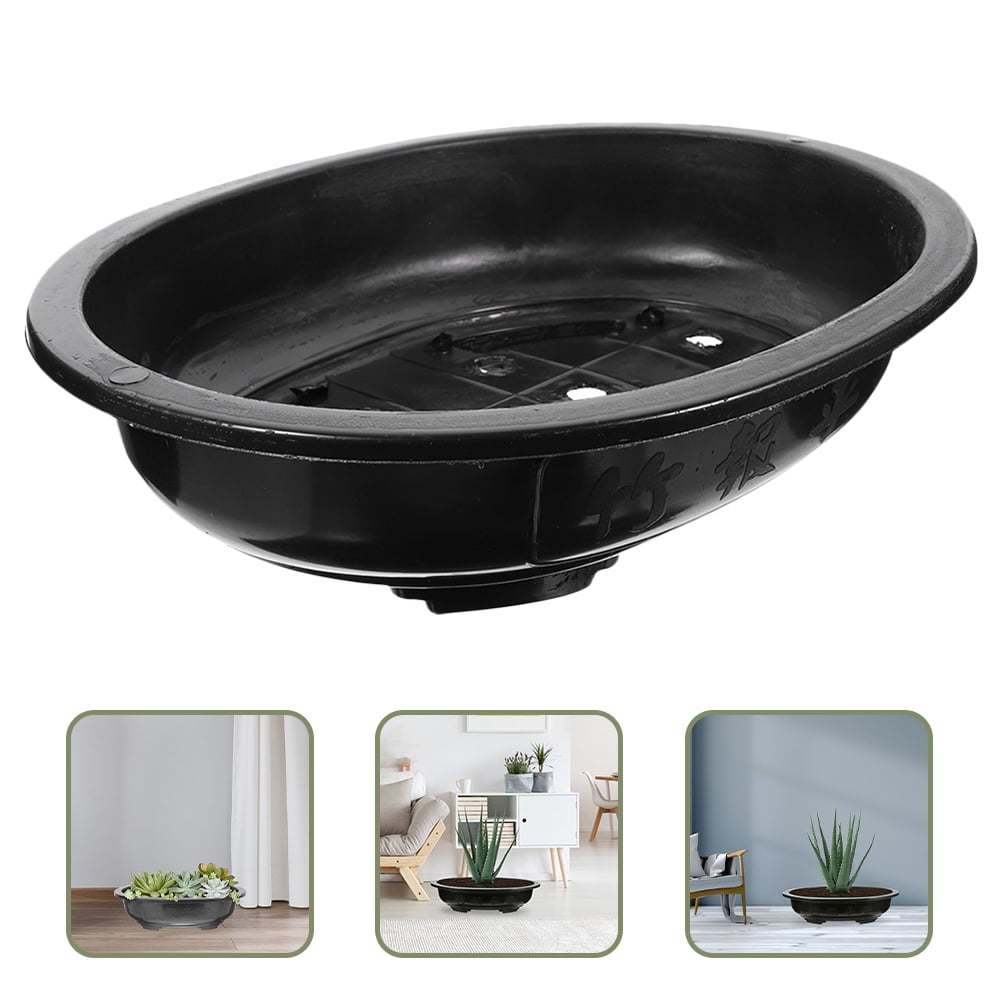 Sparsain Pack Oval Bonsai Pots, Large Flower Pots, Gardening Bonsai ...