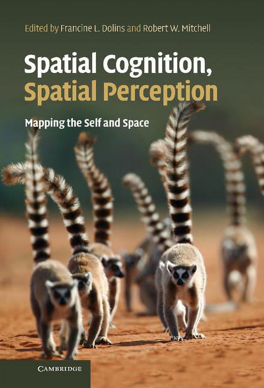 Spatial Cognition, Spatial Perception, (Hardcover) - Walmart.com