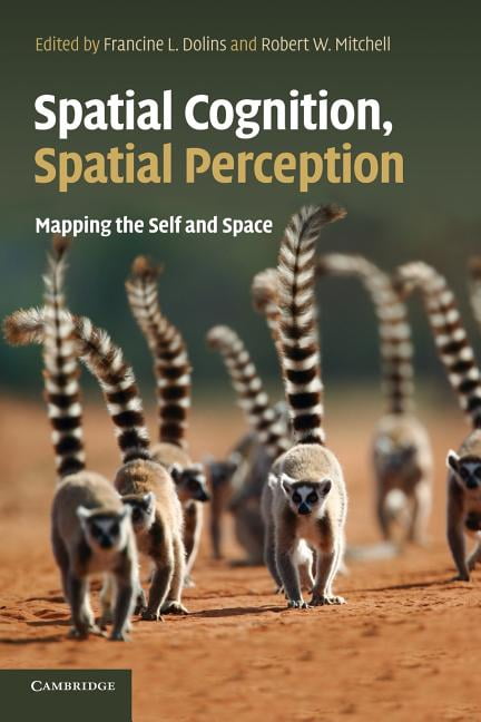 Spatial Cognition, Spatial Perception: Mapping the Self and Space ...