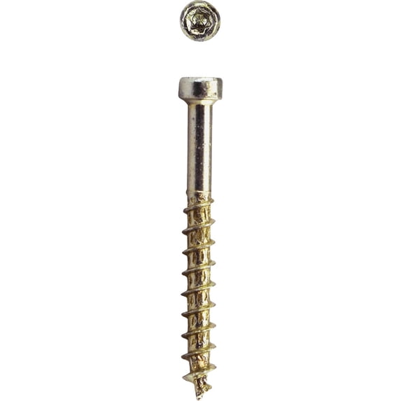 Spax PowerTrim T-Star Partial Thread Cylindric HCR Trim Screws - Pack ...