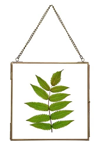 Spaziomaker Collection Home Decor Glass Metal Hanging Frame 4 4 Inch ...