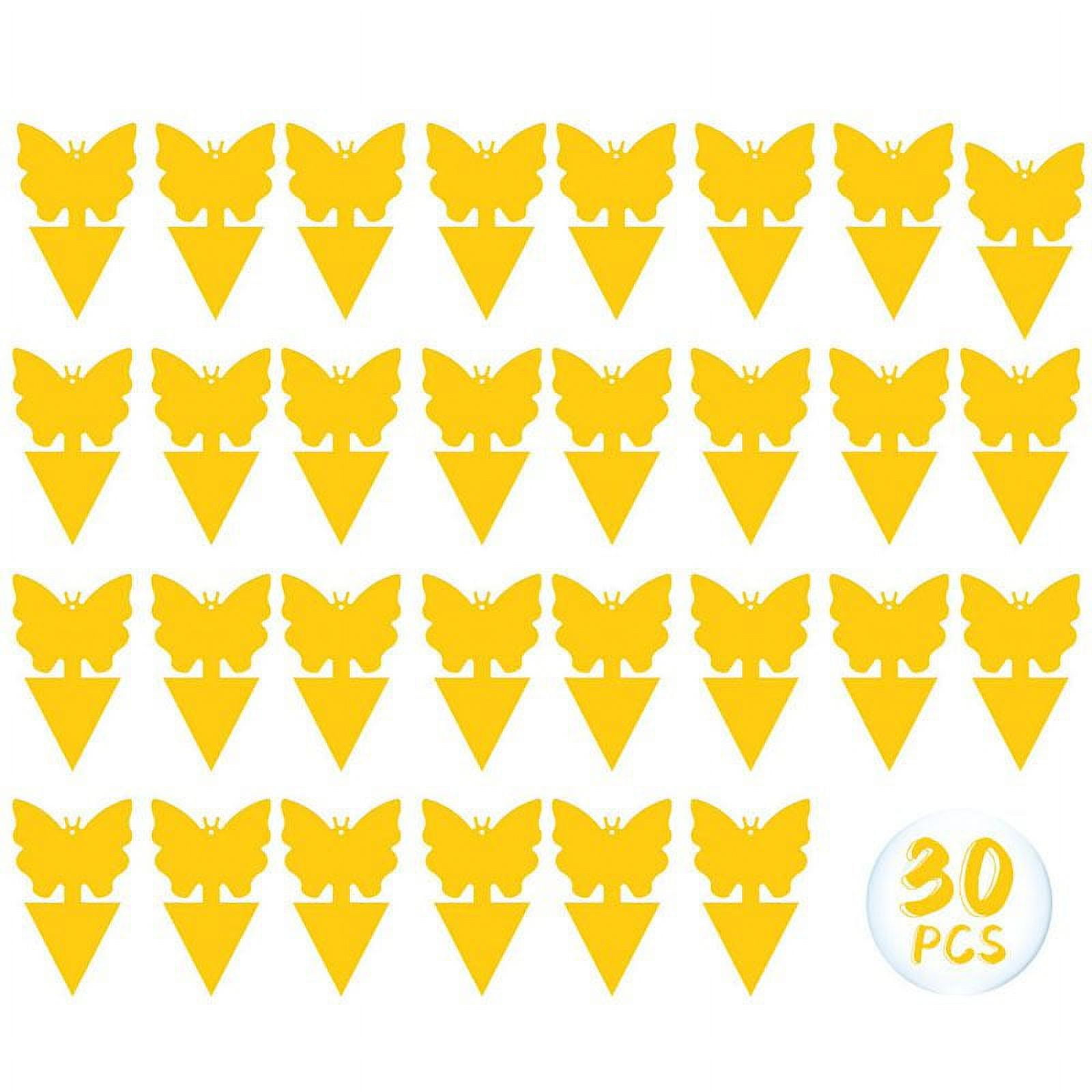 Spdoo 30 Pack Sticky Fruit Fly Trap and Fungus Gnat Traps Killer For ...