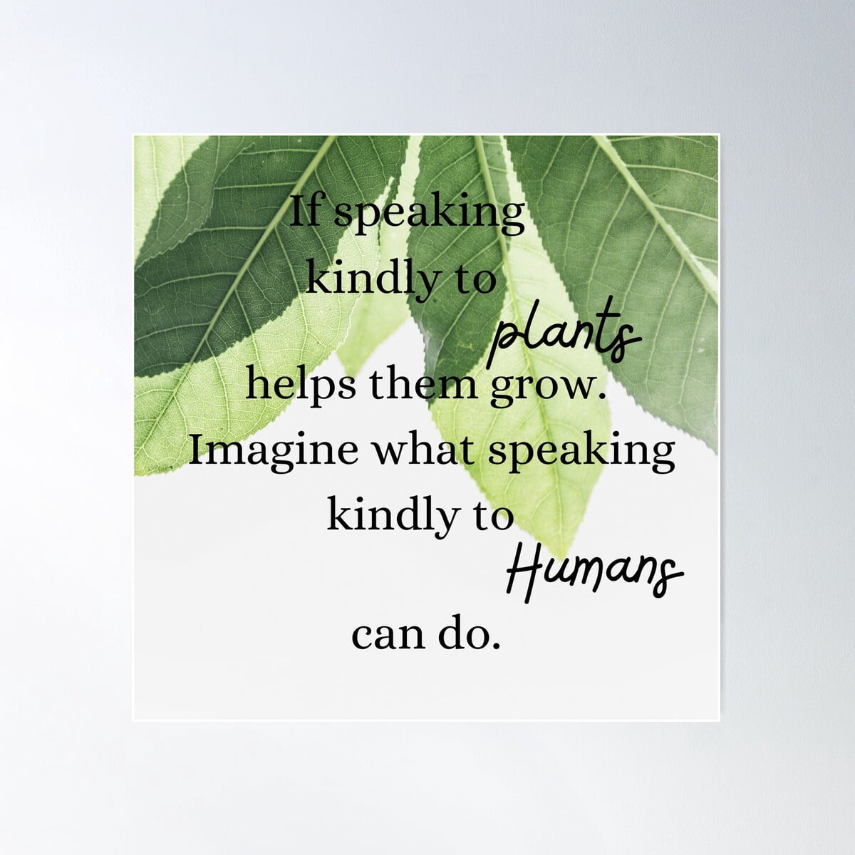 Speaking Kindly To Plants And Humans Poster Wall Art, Modern Wall Decor ...