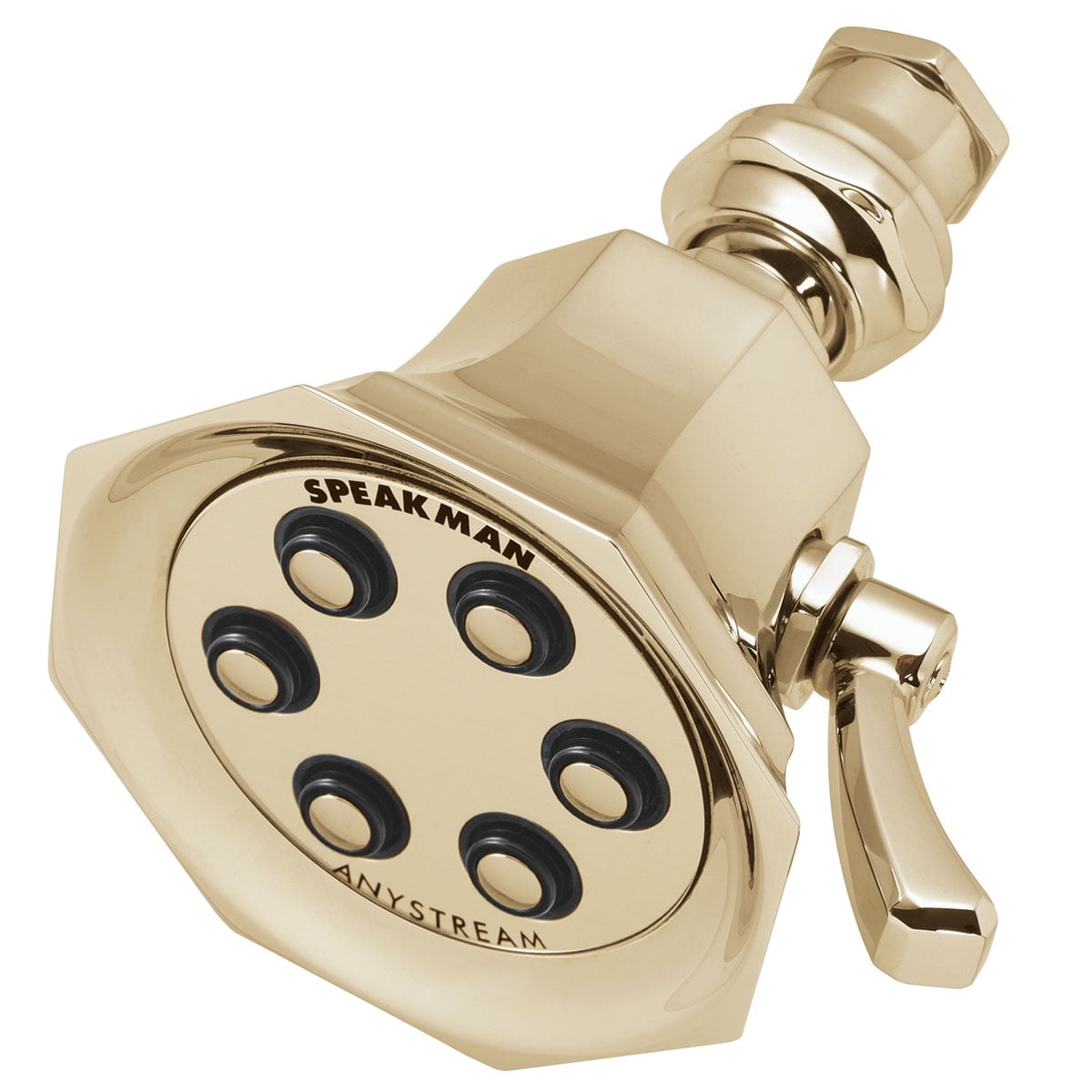 Speakman Anystream Vintage 6-Jet 2.0 GPM Polished Brass Showerhead ...