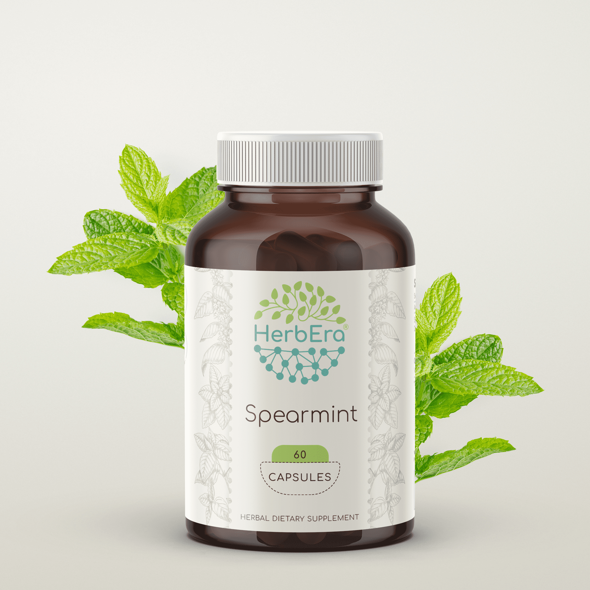 Spearmint 60 Capsules, 500 mg, Organic Spearmint (Mentha spicata) Dried ...