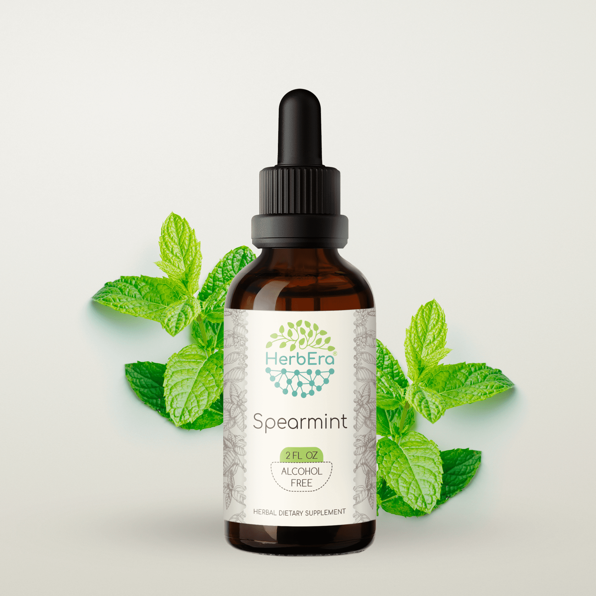 Spearmint Alcohol-FREE Herbal Extract Tincture, Super-Concentrated ...