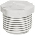 Spears 450 Series PVC Pipe Fitting, Plug, Schedule 40, 3/4" NPT Male ...