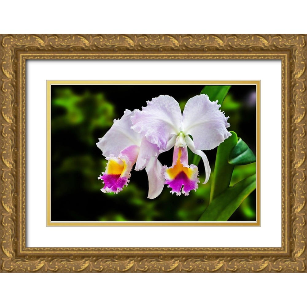 Spears, Don 32x23 Gold Ornate Wood Framed with Double Matting Museum ...