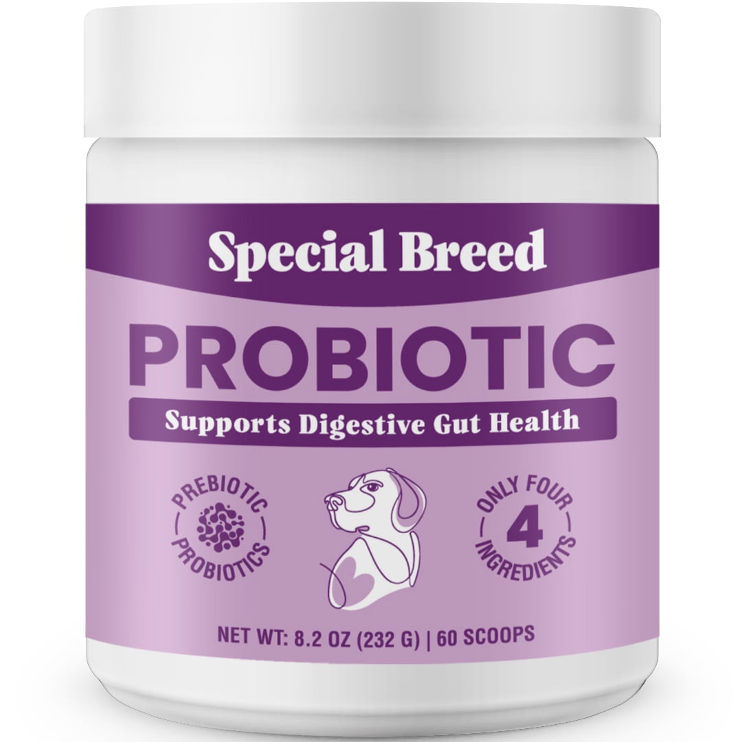 Special Breed Probiotic Powder for Dogs - Probiotics Digestive ...