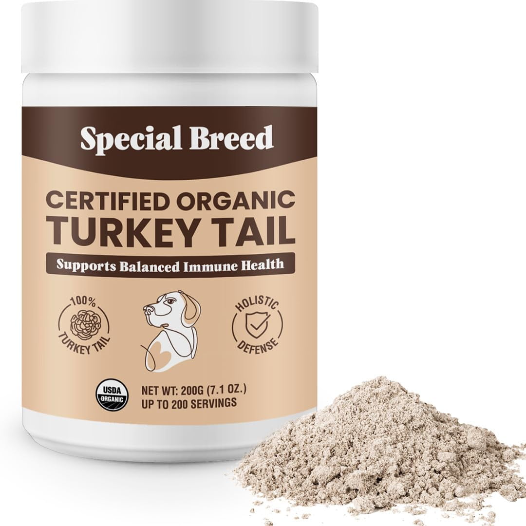 Special Breed Turkey Tail MSF2 Mushroom for Dogs and Cats - Certified ...