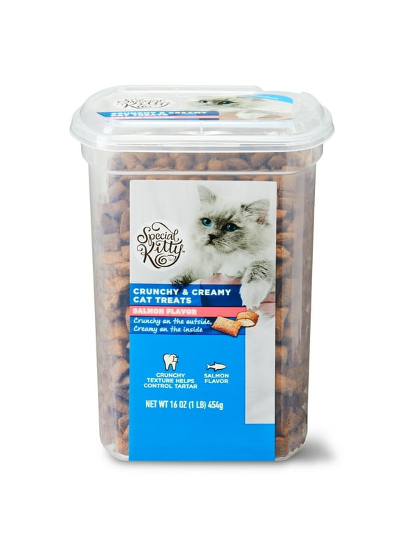Special Kitty Cat Food in Special Kitty - Walmart.com