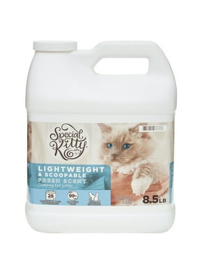 Special Kitty Cat Litter in Special Kitty - Walmart.com