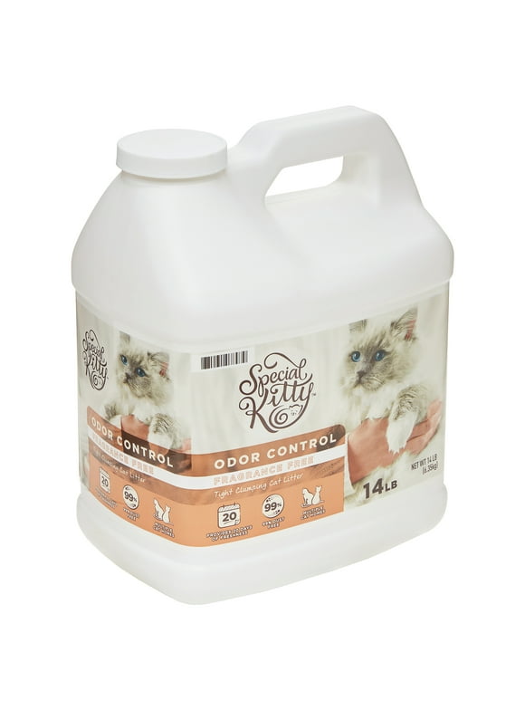 Special Kitty Cat Food in Special Kitty - Walmart.com