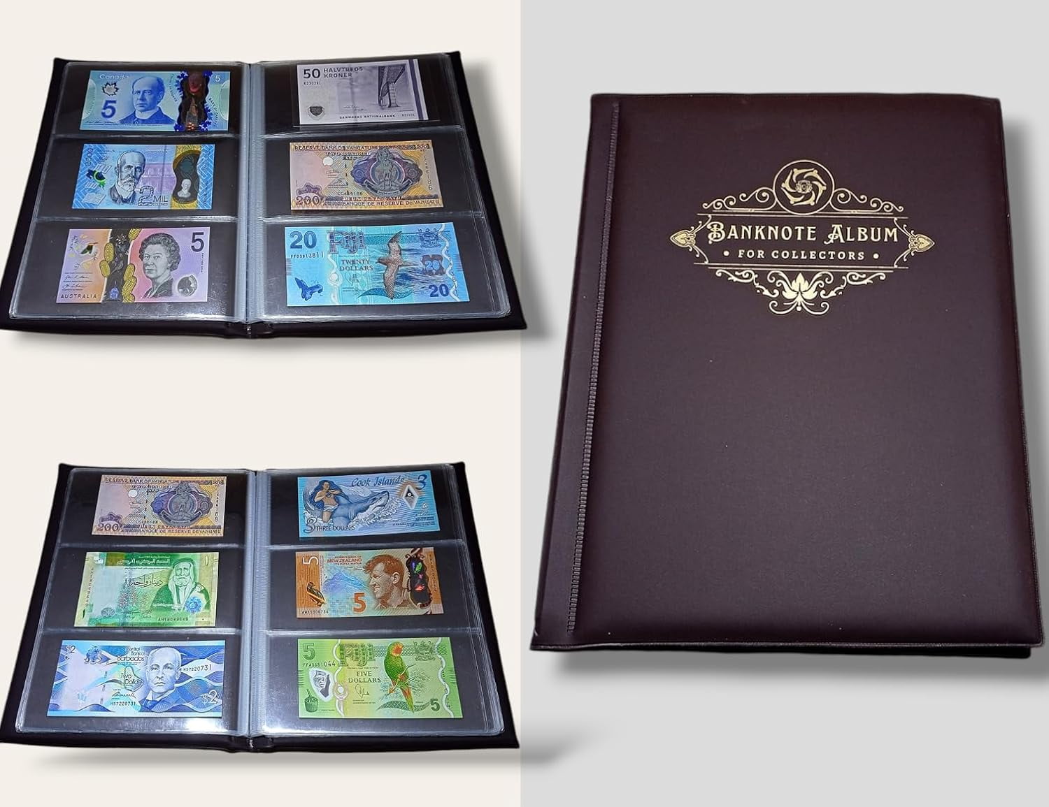 Special Minds Store Banknote Album with 60 Pockets Banknote World ...