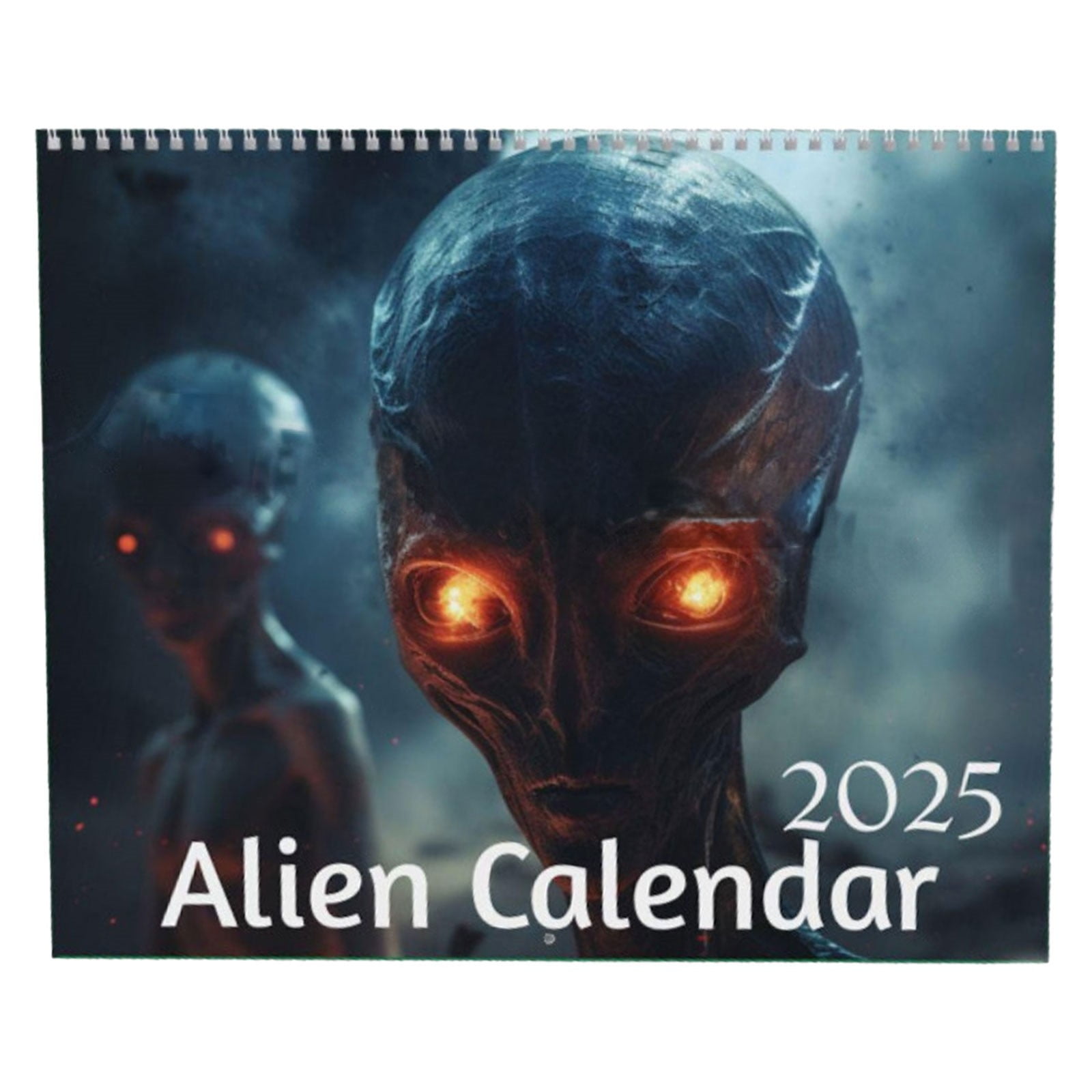 Special Offer - Alien Calendar - 2025 Calendar Fun and Unique - Perfect ...
