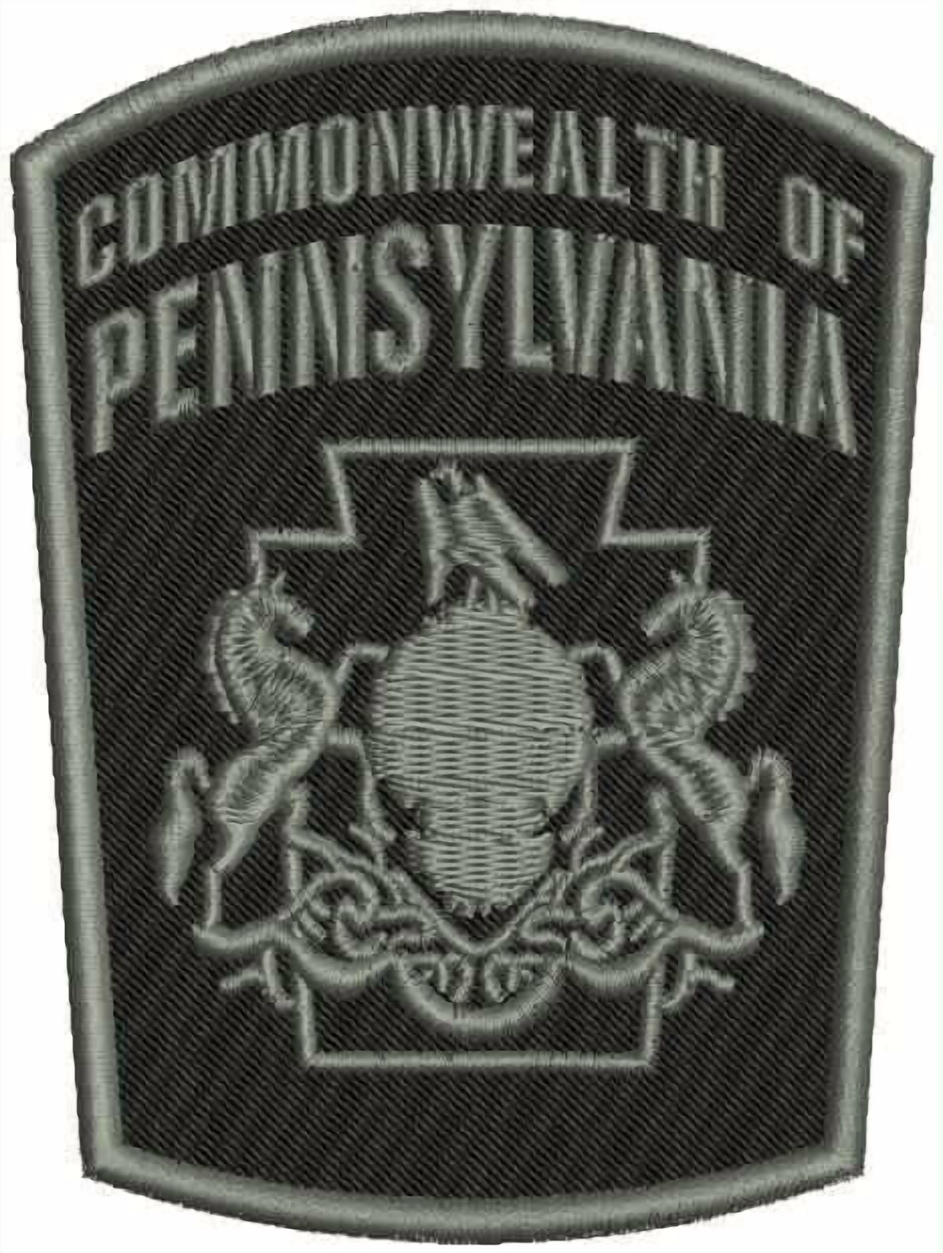 Special Patches Hook On Back Patches for Uniform for Pa Lethal Weapons ...