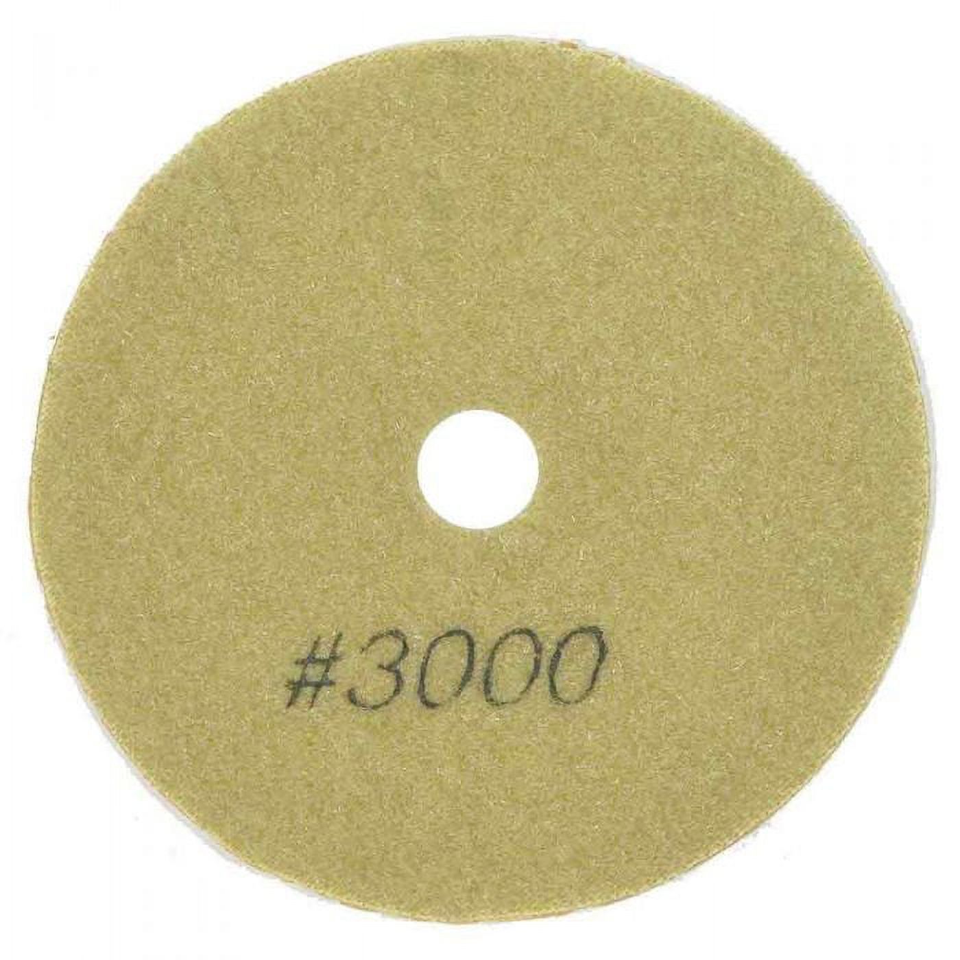 Specialty Diamond BRTW43000 4" Diamond Wet Polishing Pad, 3mm Thick ...