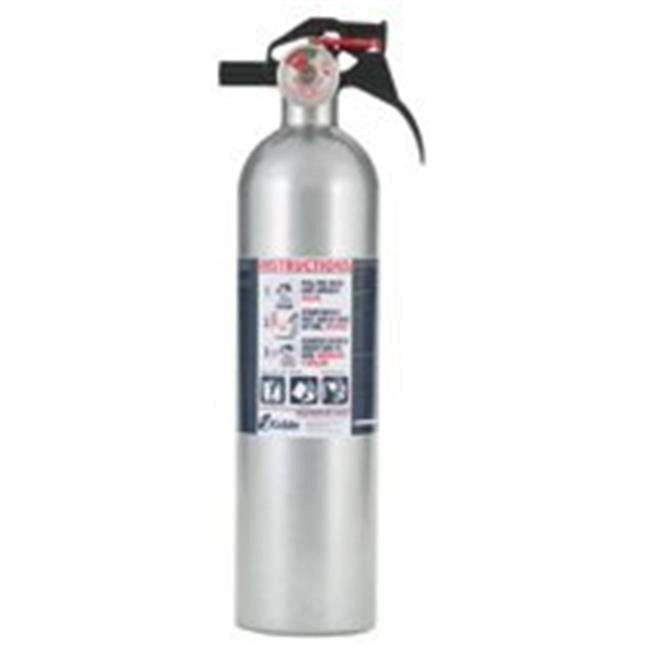 Specialty Disposable Regular Dry Chemical Fire Extinguisher - Walmart.com