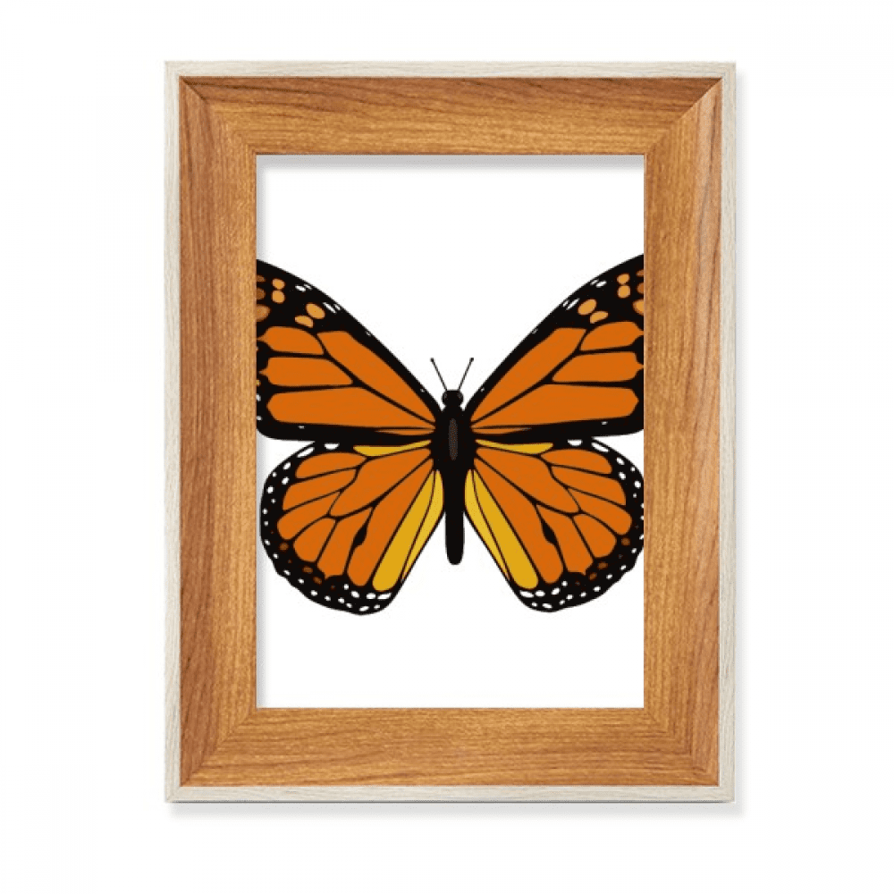 Specimen in Orange Desktop Wooden Photo Frame Display Picture Art ...