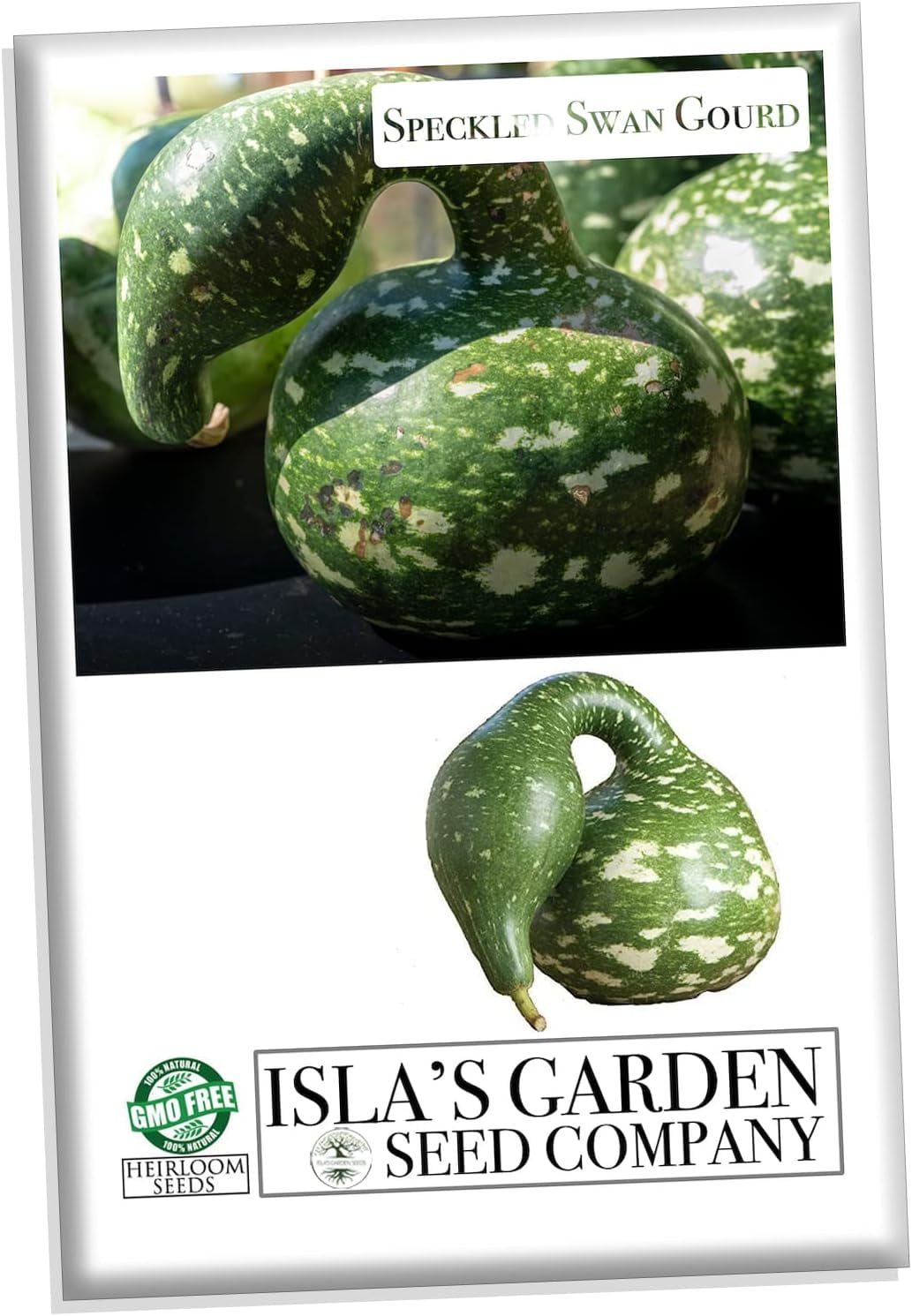 Speckled Swan Gourd Seeds, 15 Seeds Per Packet, Isla's Garden Seeds ...