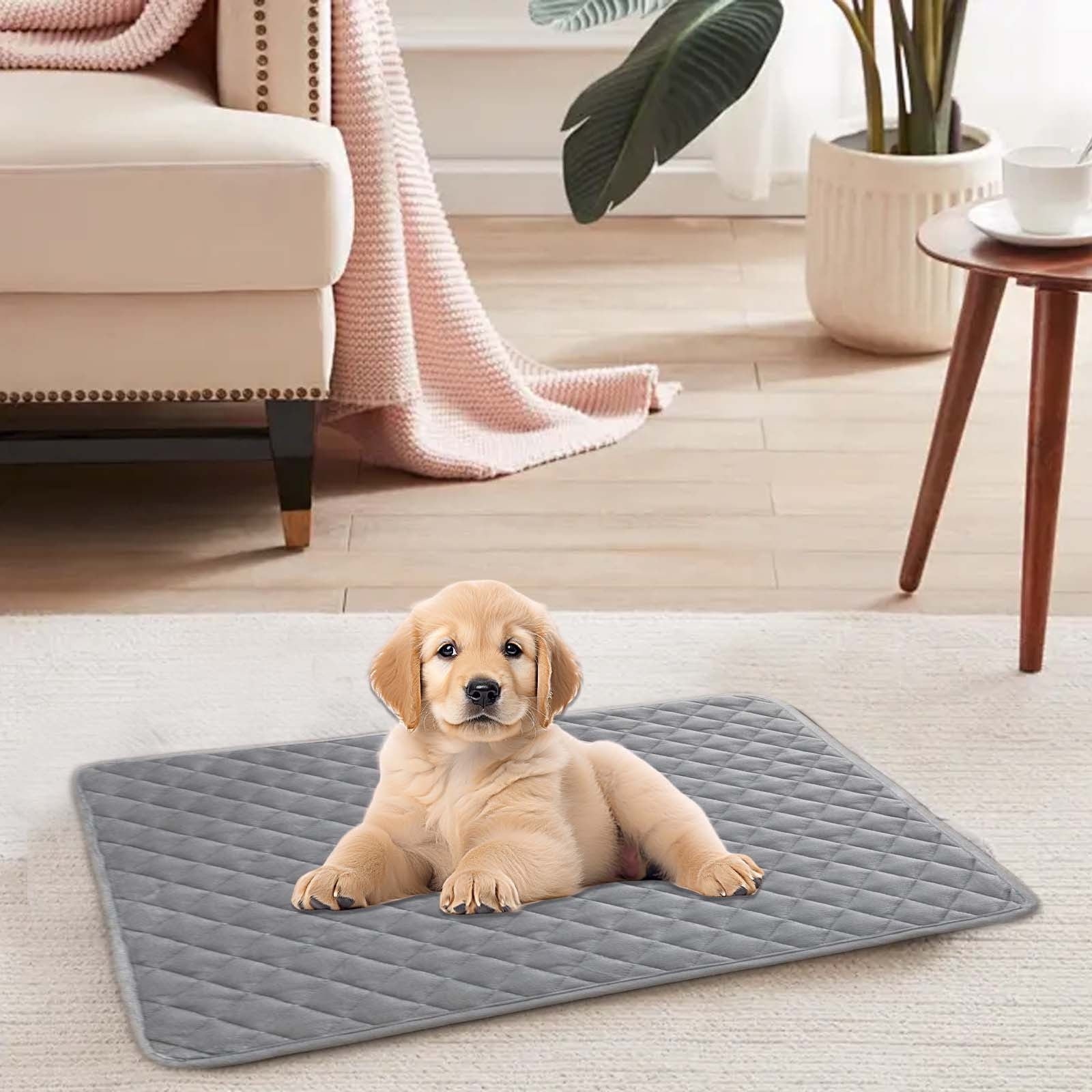 Specollect Clearance 2Pcs Summer Cooling Mat & Sleeping Pad- Water ...