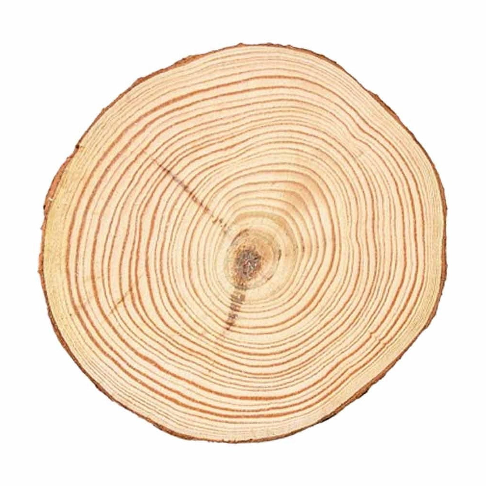 Specollect Clearance 3Pcs Logs Natural Wood Slices for Centerpieces ...