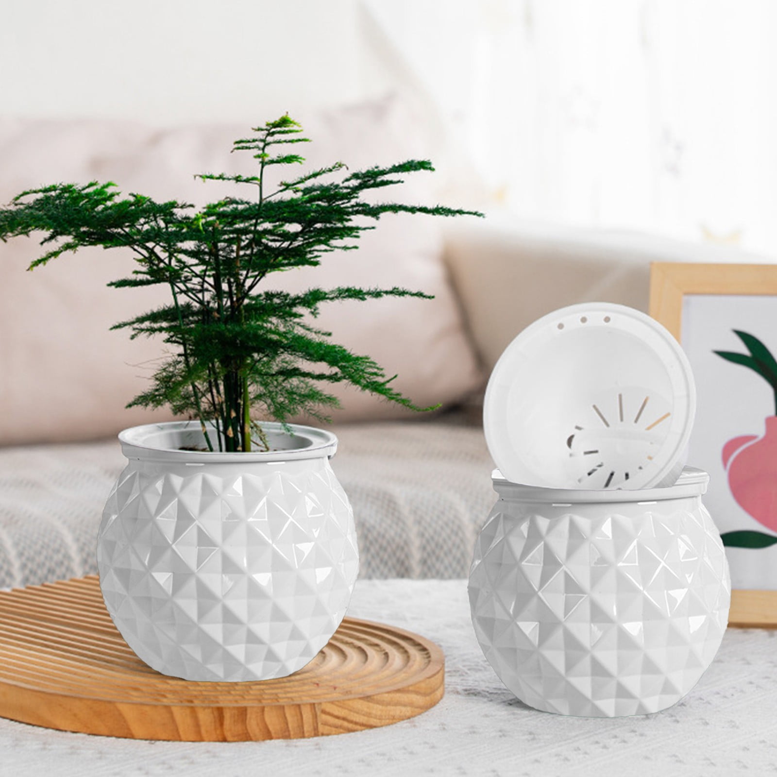 Specollect Clearance 8Pcs Transparent Hydroponic Plant Pots Planters ...