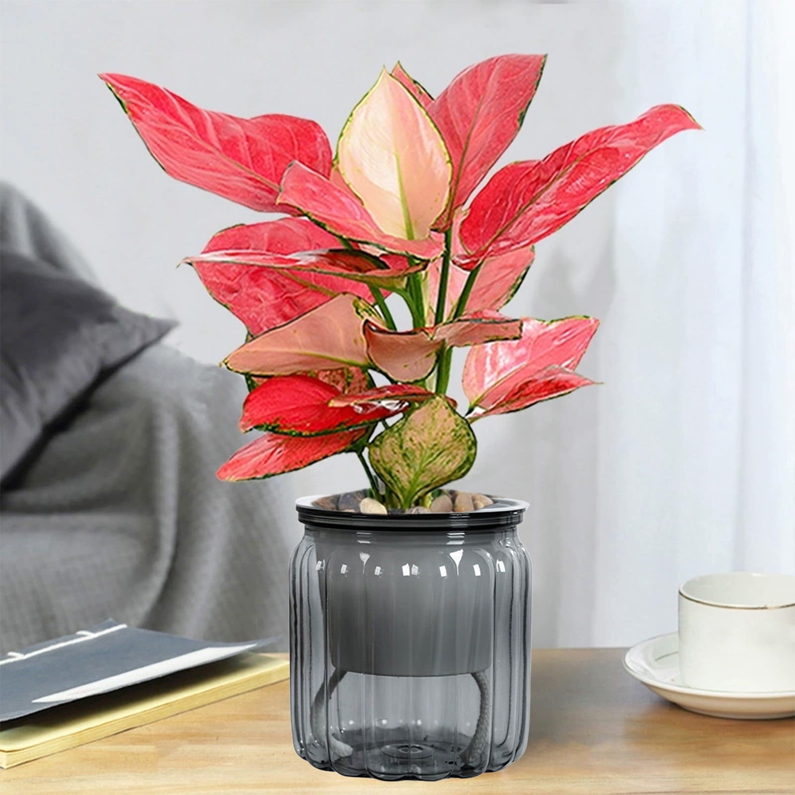 Specollect Transpare Plants Station - Desktop Plant Terrarium Glass ...