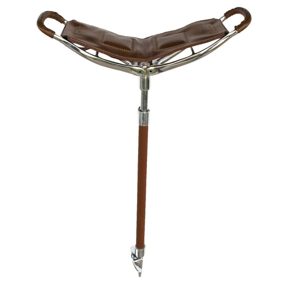 Walking Cane with Seats