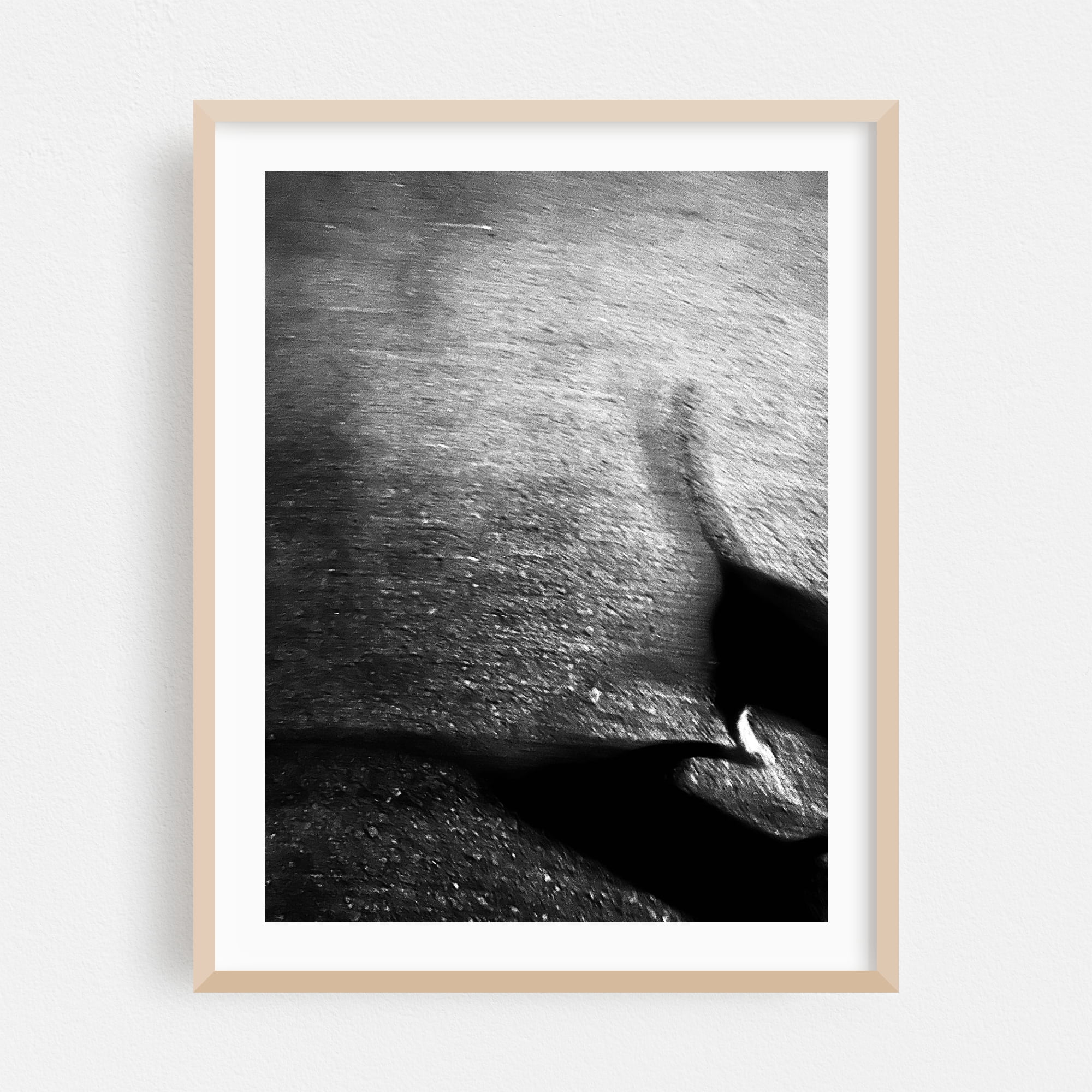 Spector Cat - Photography Abstract Black and White Silhouette ...