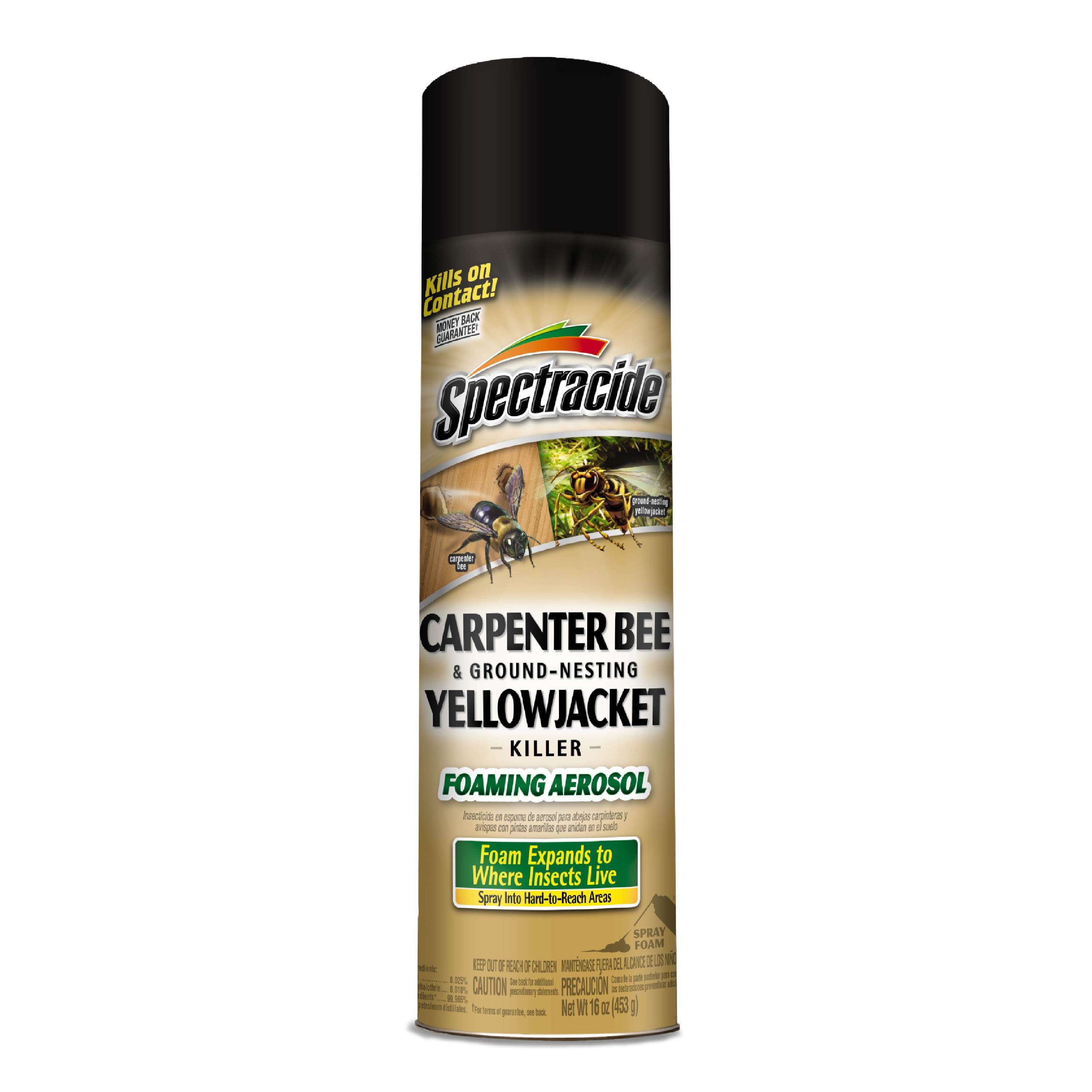 Spectracide 16-oz Foaming Aerosol Insecticide Spray for Killing ...