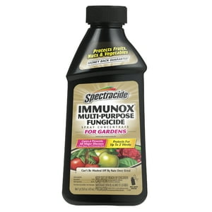 SP IMMUNOX FUNGICIDE CONC 6/16 OZ | B2B Liquidation