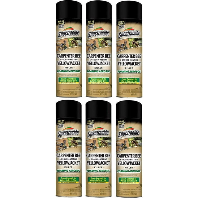 Spectracide Stinging Insects Killer Carpenter Bee & Ground-Nesting ...