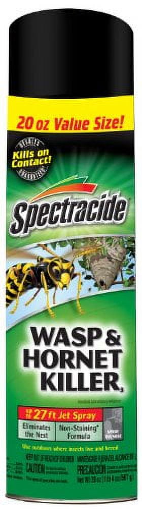 Spectracide Wasp & Hornet Killer Aeroso Indoors Wasps Trap Spray 20 oz ...