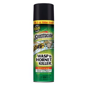 Wasp Spray in Pest Control - Walmart.com